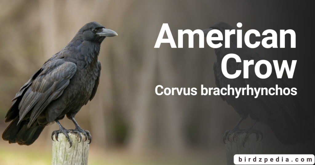 Masters of the Sky: A Deep Dive into Flying Animals and Their ...