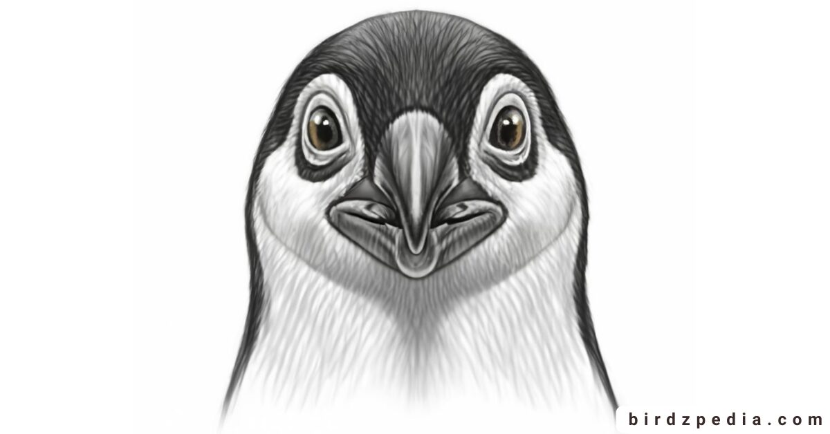 PENGUIN MOUTH: Journey into the Scary Depths