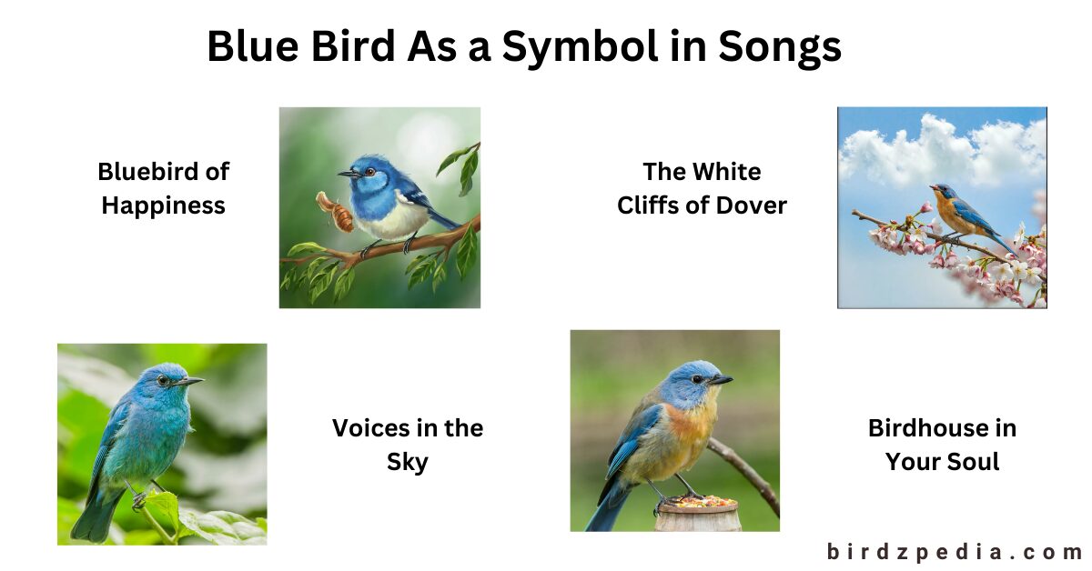 250+ CREATIVE BLUE BIRD Names, Ideas and Tips