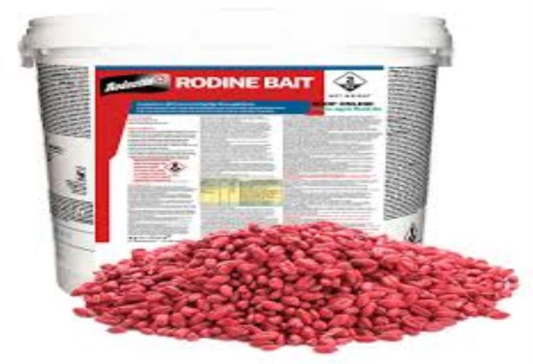 Rat Poison: Understanding Types, Uses, and Safety Precautions