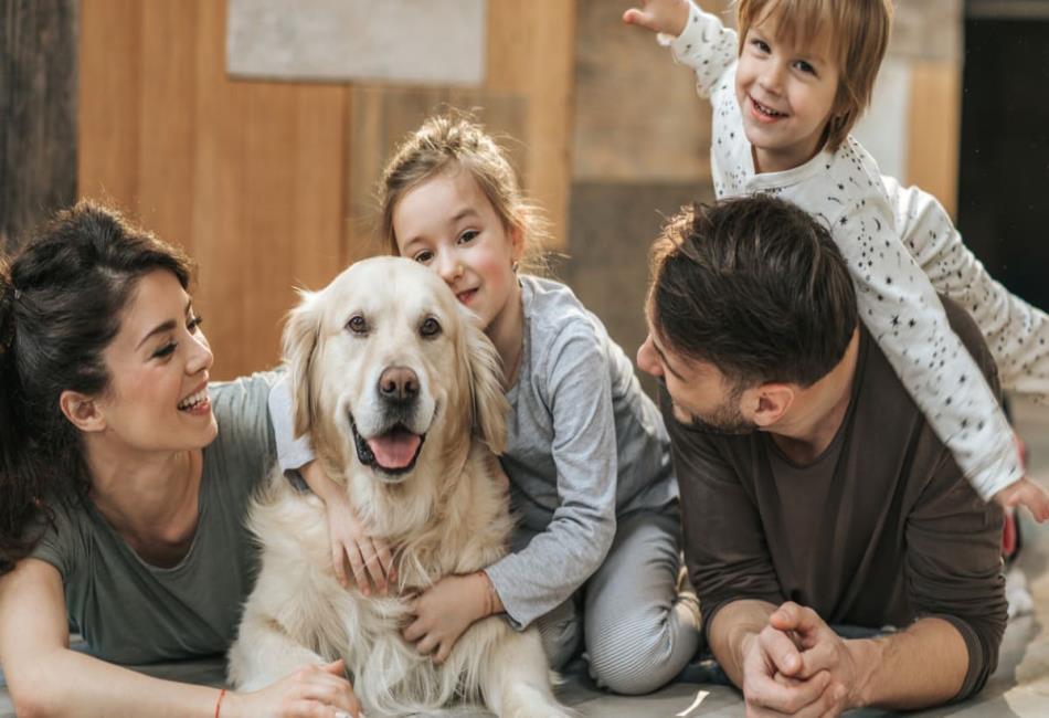The Best Family Dogs: Choosing the Right Fit for Your Family’s Needs