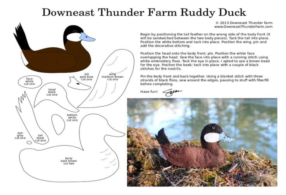 The Ruddy Duck: A Remarkable Species in the World of Waterfowl