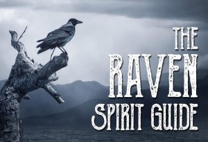 Raven Symbolism: A Journey Through Myth, Culture, and Mystery