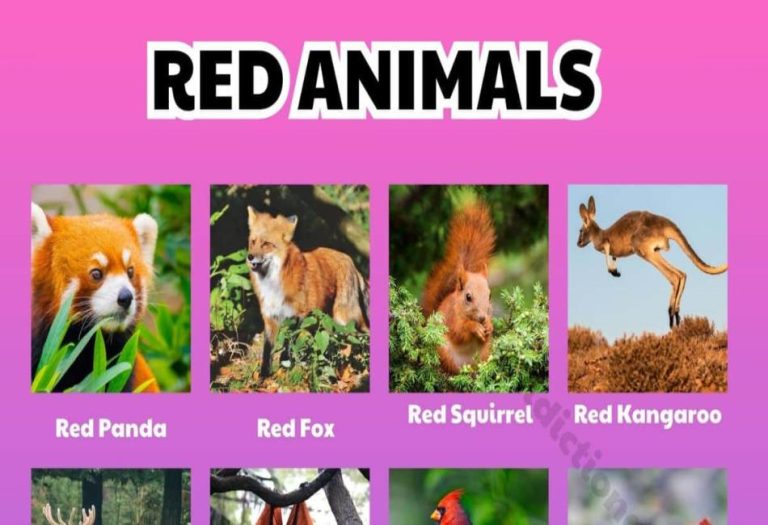 Red Animals: Exploring the World of Nature's Fiery Creatures