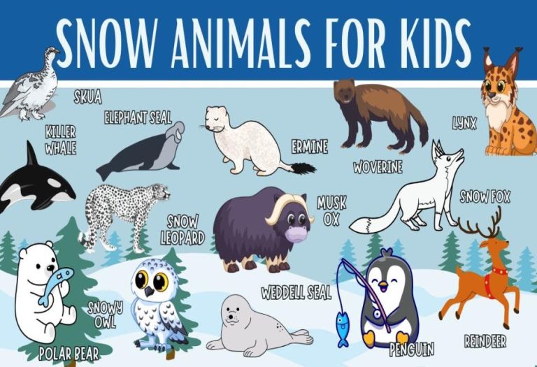 Snow Animals: Wildlife That Thrives in the Frozen Wilderness