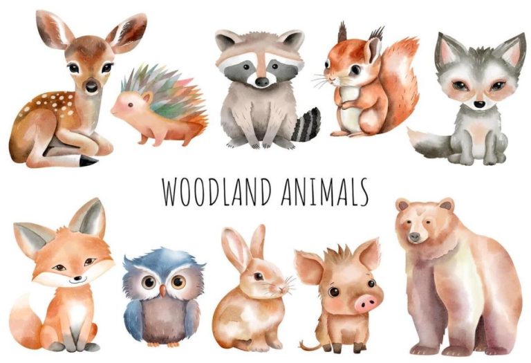 Woodland Animals: A Fascinating Look at the Wildlife of Forest Ecosystems