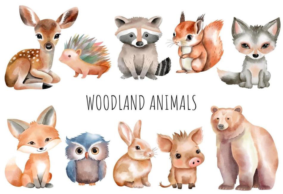 Woodland Animals: A Fascinating Look at the Wildlife of Forest Ecosystems