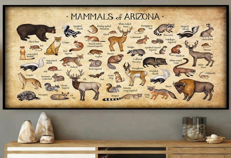 Wildlife of the Grand Canyon State: A Comprehensive Guide to Arizona ...