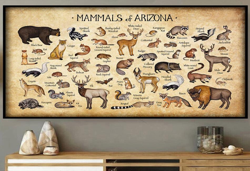 Wildlife of the Grand Canyon State: A Comprehensive Guide to Arizona ...