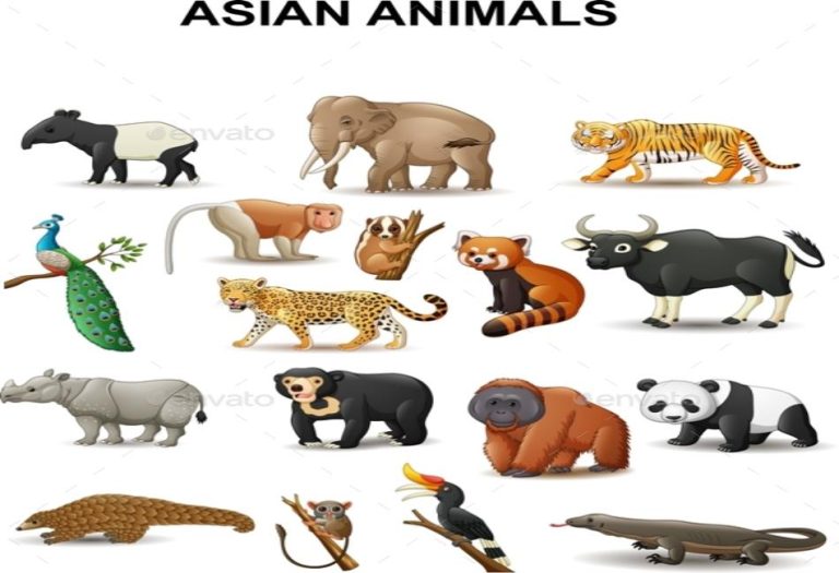 Wild Wonders of Asia: Exploring the Fascinating World of Asian Animals